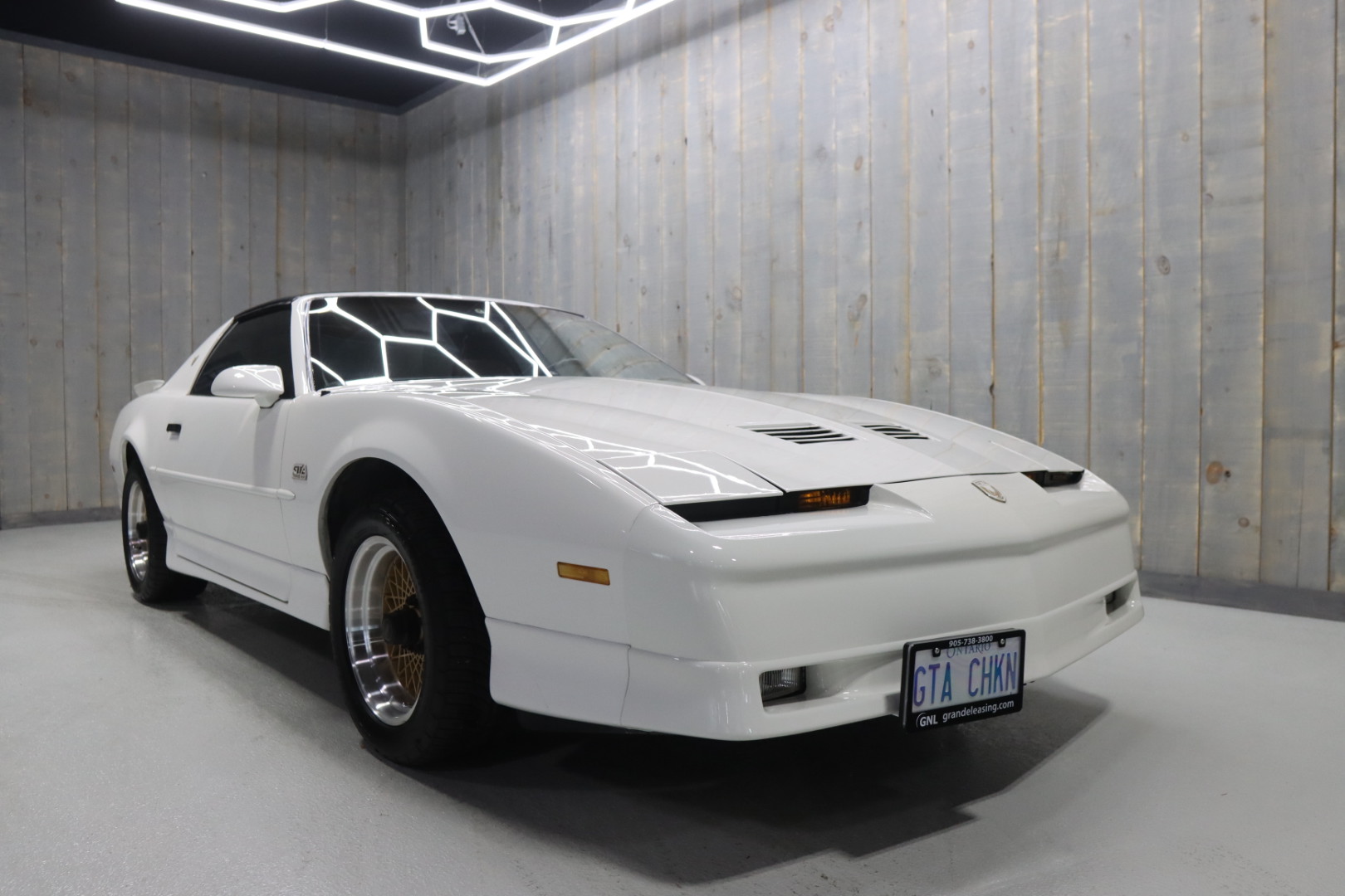 Trans Ams Archive - Grande National Leasing